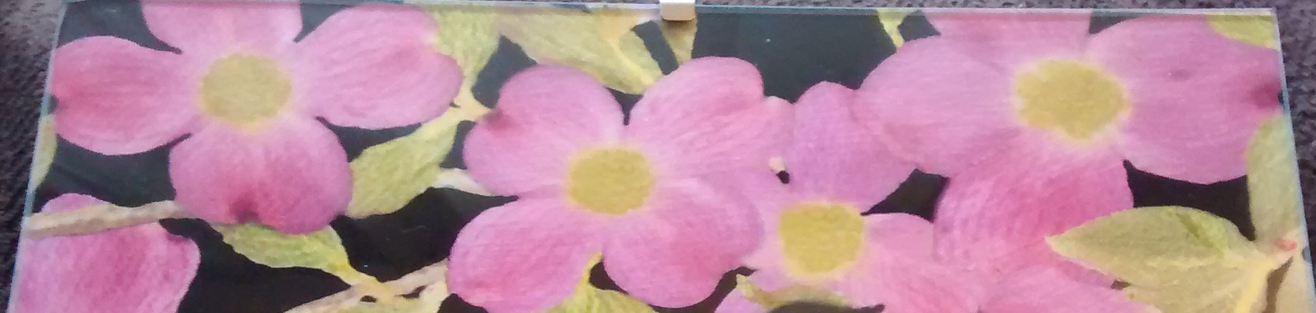 Flower Rubbings – Parent Trust