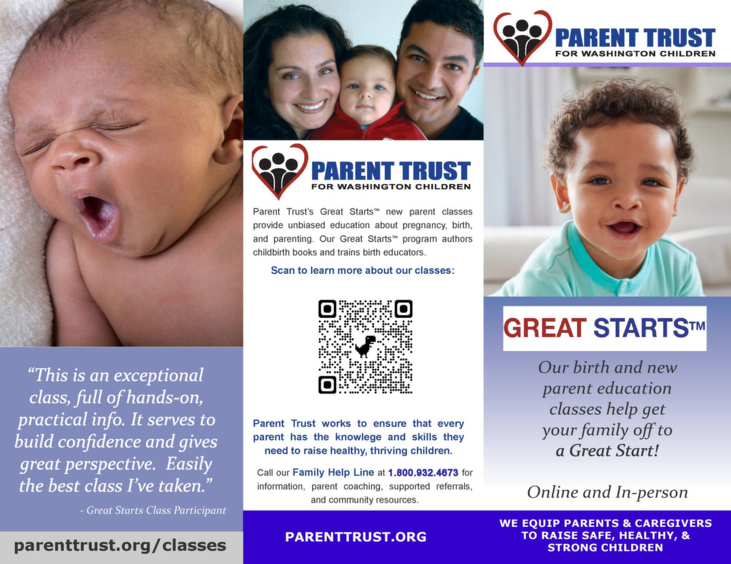 Great Starts Brochure – Parent Trust