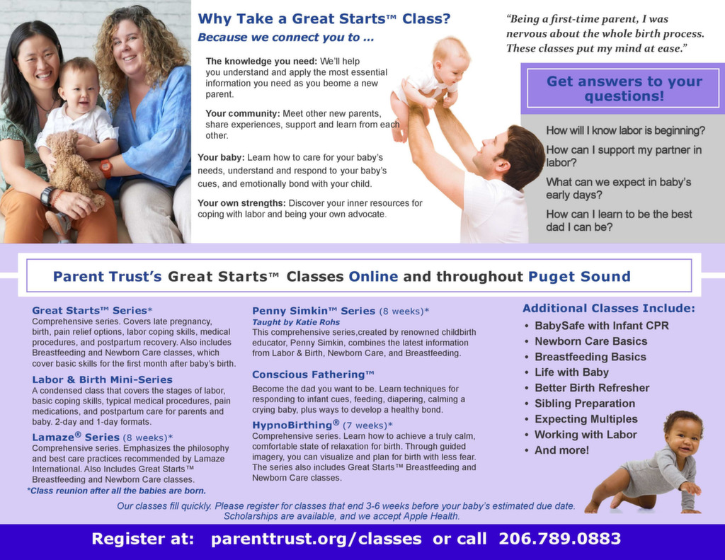 Great Starts Brochure – Parent Trust
